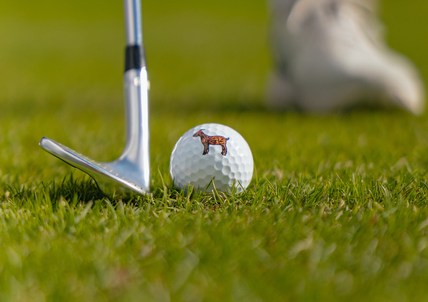 The Goat - Premium Golf Products